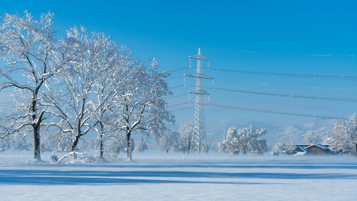 Exploring Winter Emergency Power Solutions