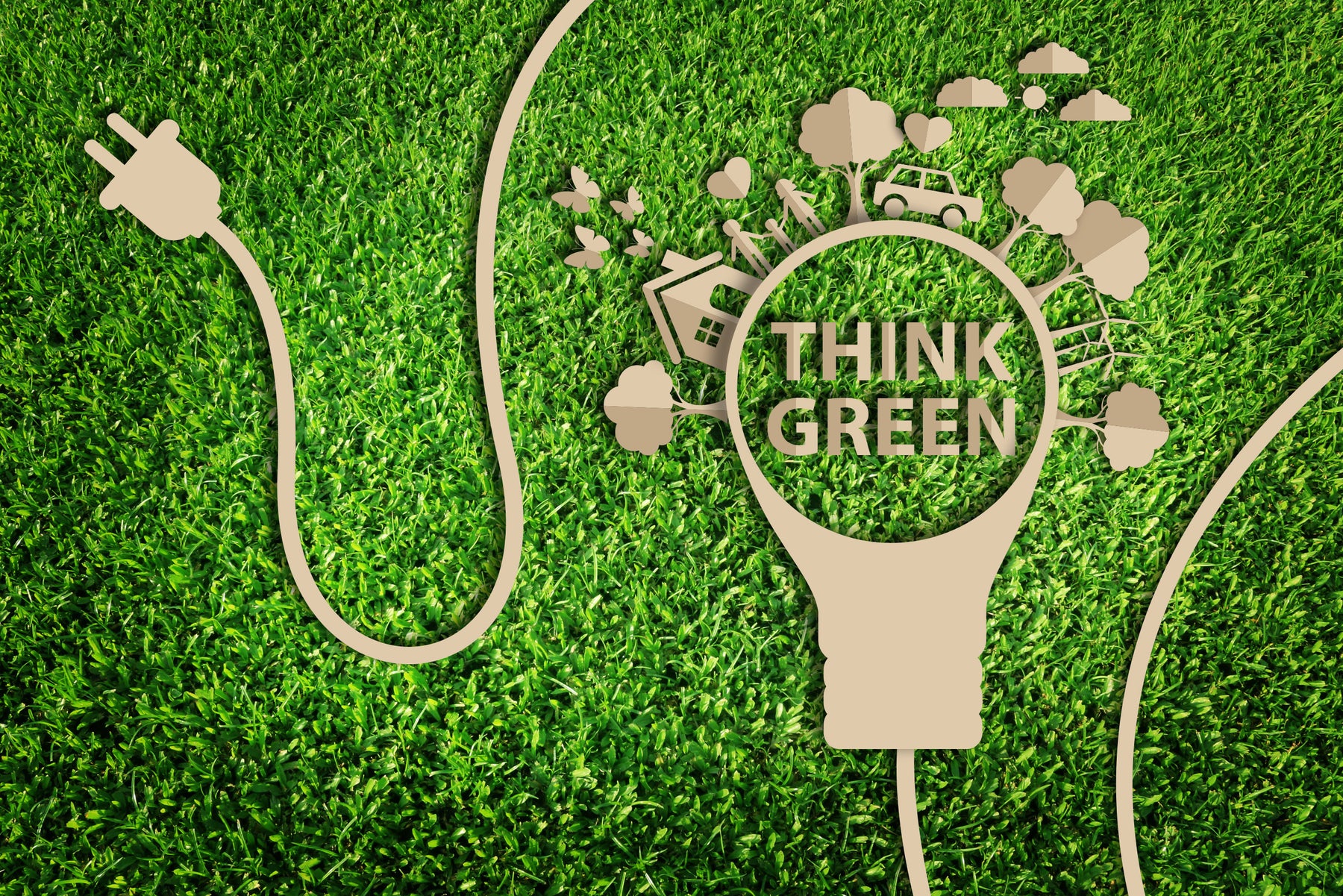 Three Ways You Can Help Our Environment Today three-ways-you-can-help-our-environment-today